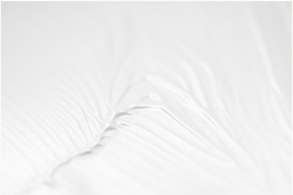 Traces in White – FineArt Photography by Hana